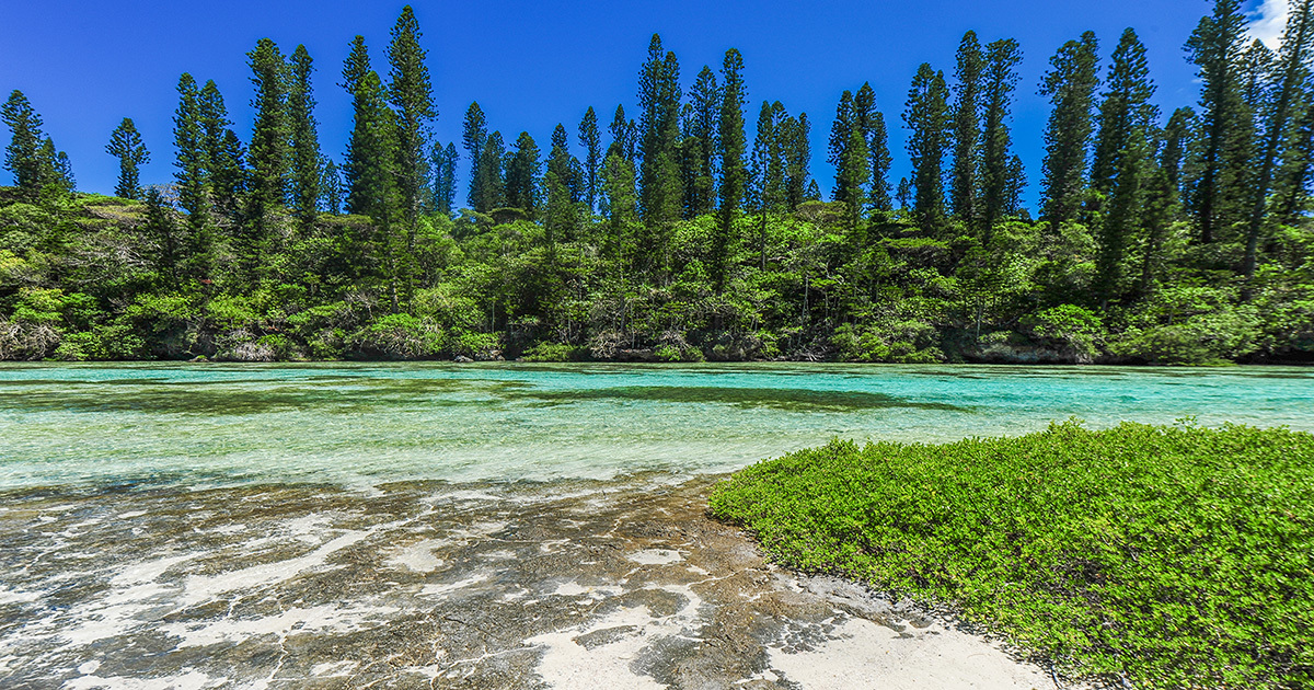 Palissade sculptée de l’île des Pins - Resa.nc
