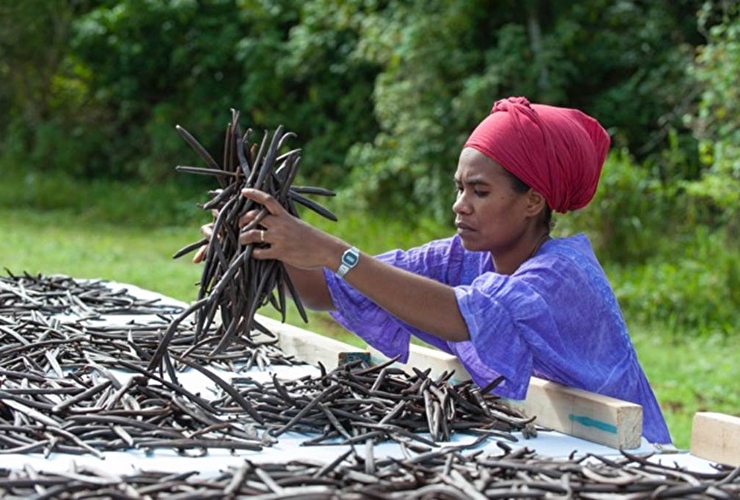 Vanilleraie de Lifou - Resa.nc